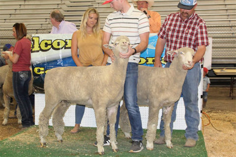 Programs & Events - Columbia Sheep Breeders Association